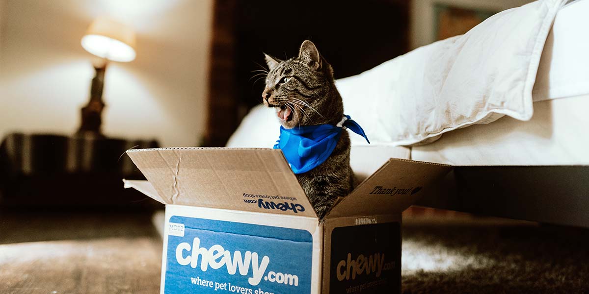 COVID-19 ushers in entertaining, humorous branded content | USC ...